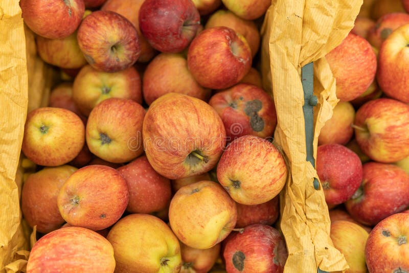 Fresh Apples in Trays on the Counter in the Supermarket. Stock Image ...