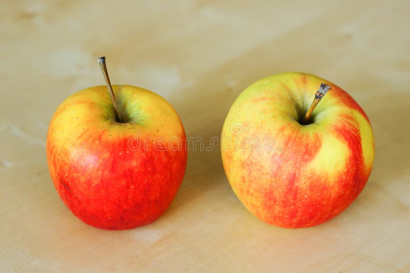 Fresh apples stock photo. Image of health, ripe, sweet - 38200810