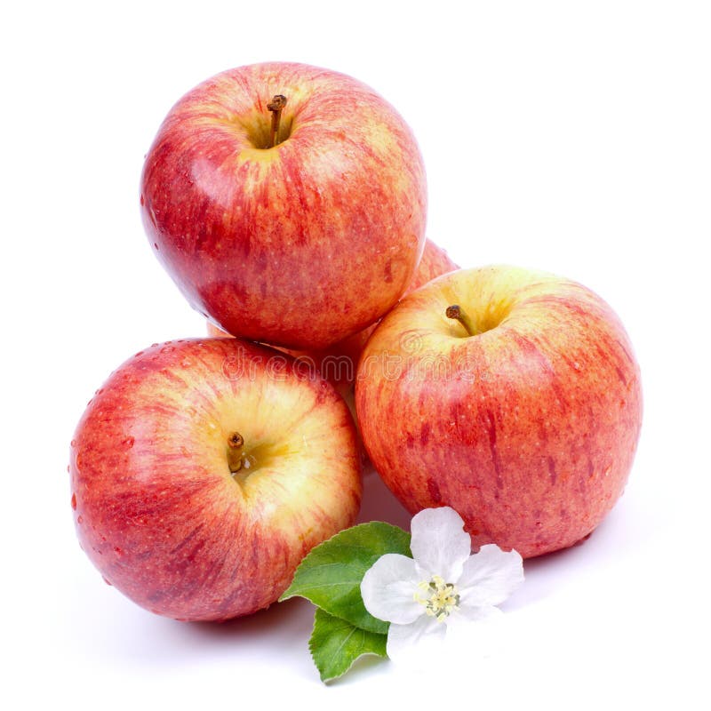 Fresh apples stock photo. Image of wooden, fruit, apple - 31119906