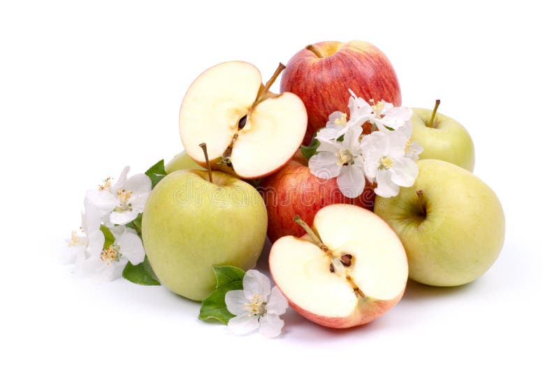 Fresh apples stock photo. Image of apple, fresh, fruit - 31120016