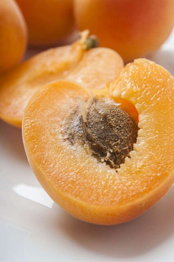 Fresh apricot stock image. Image of food, nutrition, refreshment - 36714987