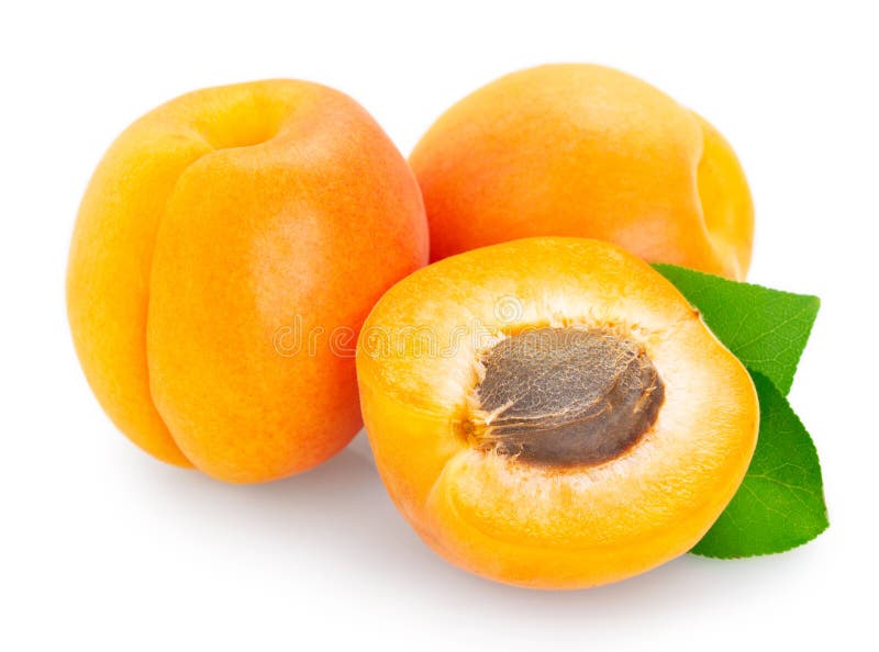 Fresh Apricot Isolated on White Background Stock Image - Image of white ...