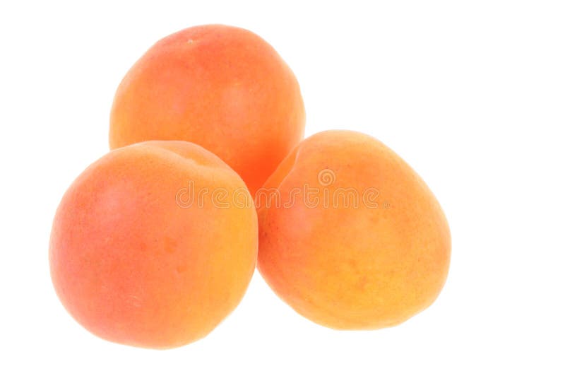 Fresh apricots stock image. Image of color, macro, healthy - 14726955