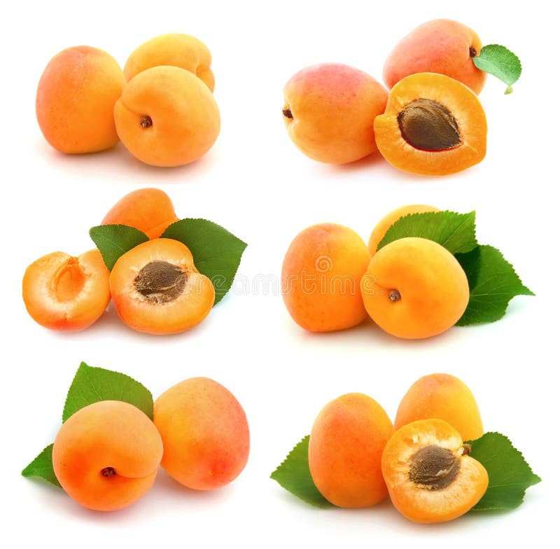 Sweet apricot fruts stock image. Image of agriculiture - 148747991