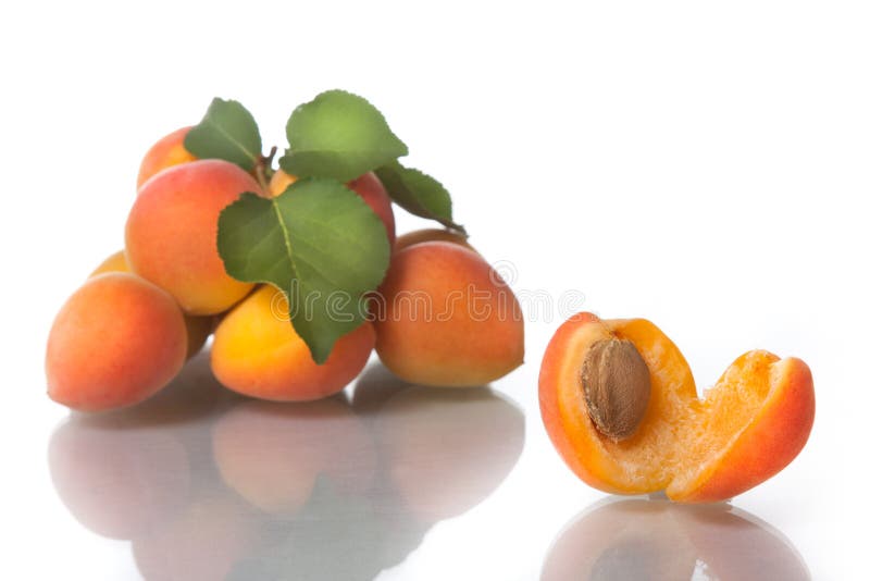 Fresh apricots stock photo. Image of close, healthy, isolated - 25647402