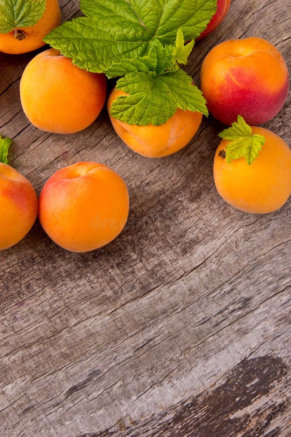 Fresh apricots stock image. Image of color, aroma, fresh - 26093915