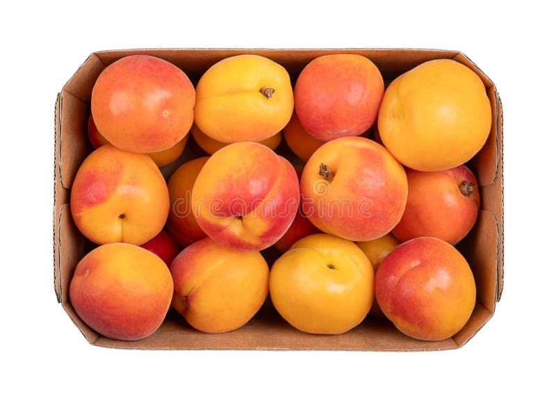Fresh Apricots in a Paper Punnet, Stone Fruits of Prunus Armeniaca ...