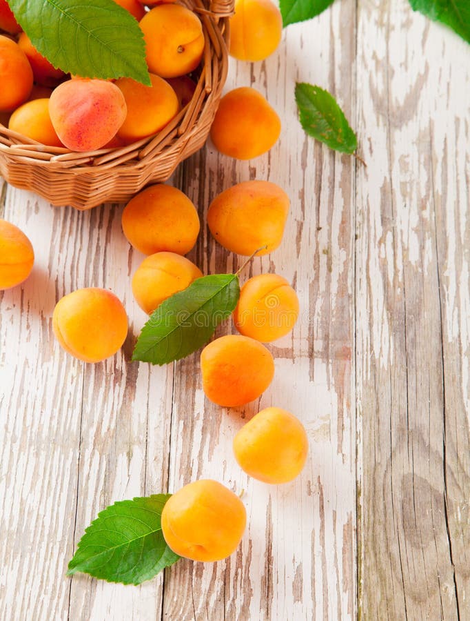 Fresh apricots stock image. Image of healthy, object - 32623405