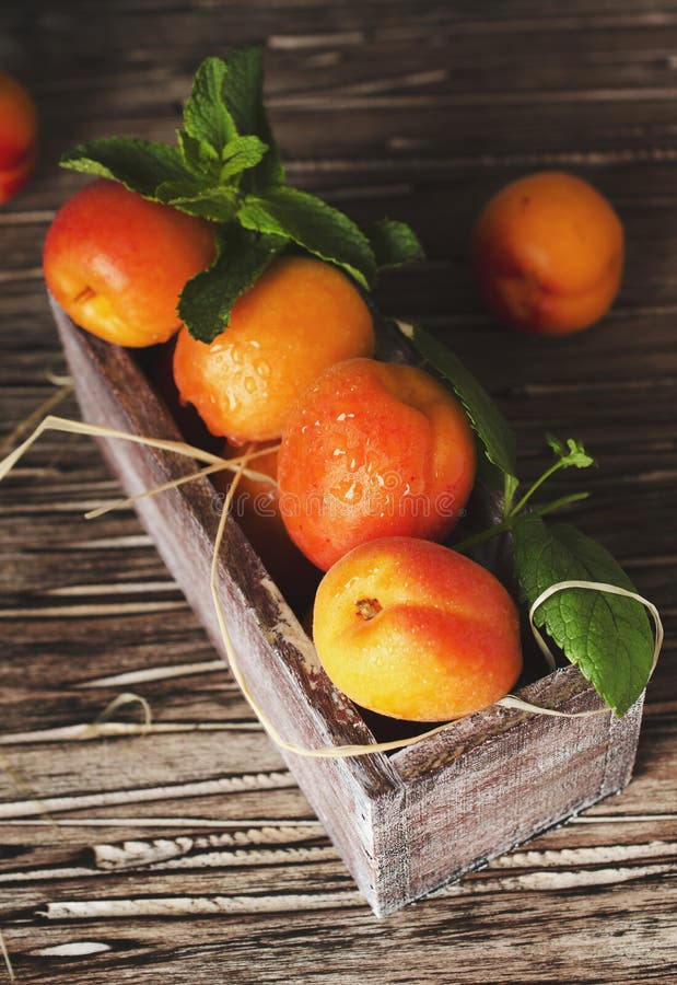 Fresh Apricots in Small Wooden Box, Selective Focus, Top View Stock ...