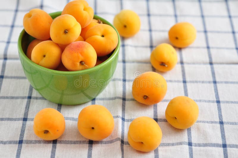 Fresh Apricots stock image. Image of dieting, large, color - 31402209