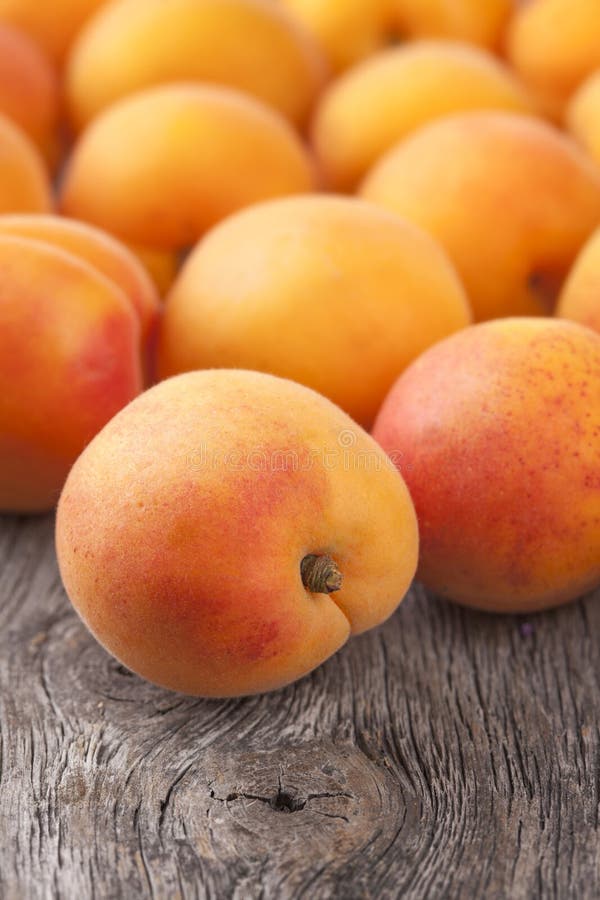 Fresh apricots with leafs stock photo. Image of path, group - 2661114