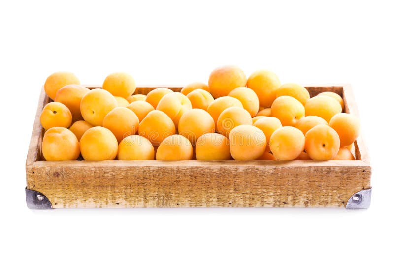 Fresh Apricots in Wooden Box Stock Photo - Image of closeup, healthy ...