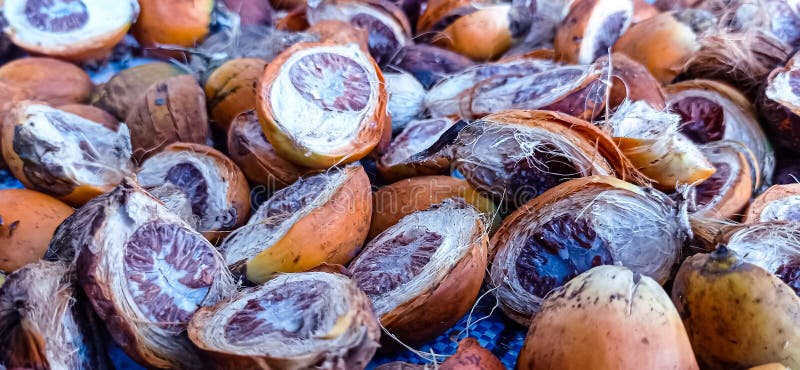 Fresh areca nuts stock photo. Image of leaf, areca, nuts - 226208948