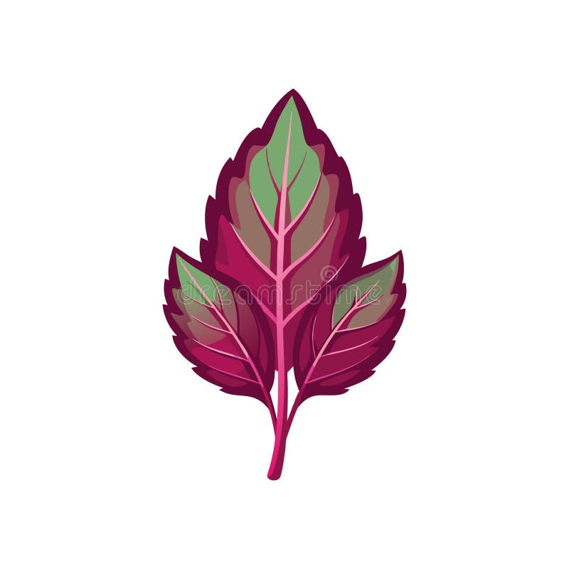 Fresh Amaranth Leaf Artwork with Lively Colors Stock Photo ...