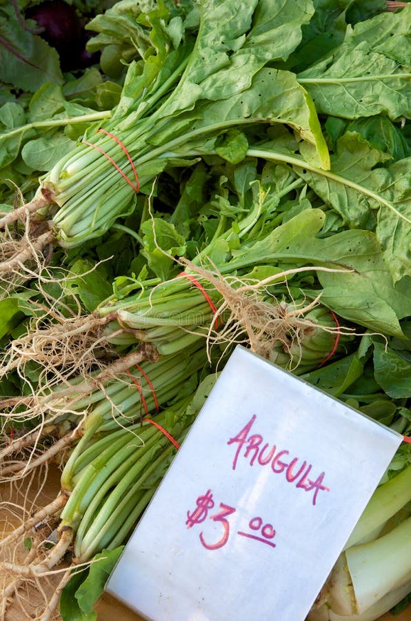 Fresh Arugula stock image. Image of salad, arugula, sign - 25724471