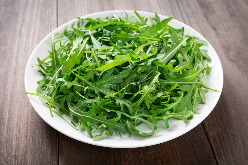 Arugula stock photo. Image of salad, vegetarian, arugula - 303248788
