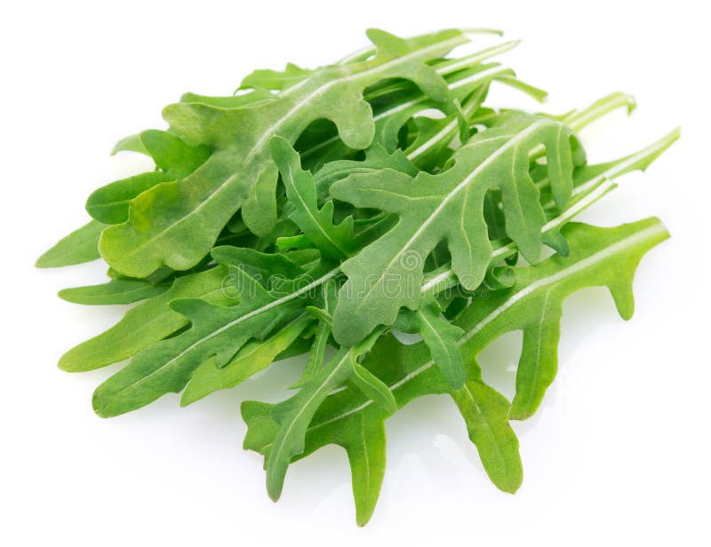 Fresh Arugula on White Background Stock Photo - Image of arugula, leaf ...