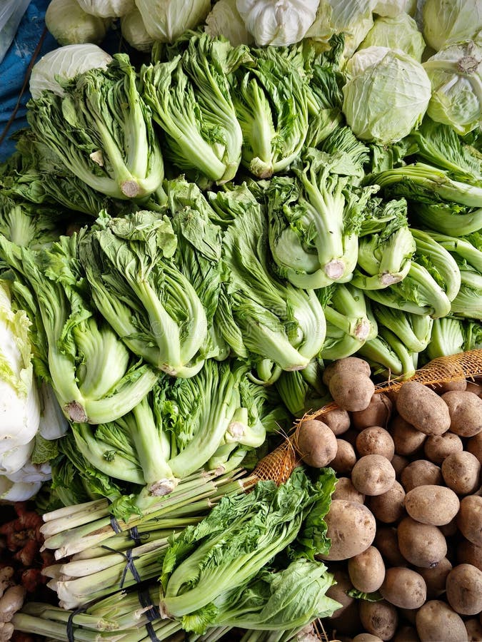 Fresh Asian Vegetables and Potatoes at Traditional Market Stock Image ...