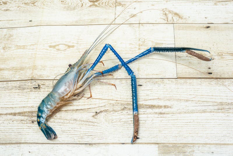 Fresh Asiatic River Prawns, Claws, Tiger Prawns, Isolated on White ...