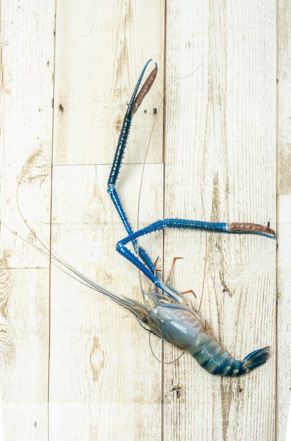 Fresh Asiatic River Prawns, Claws, Tiger Prawns, Isolated on White ...