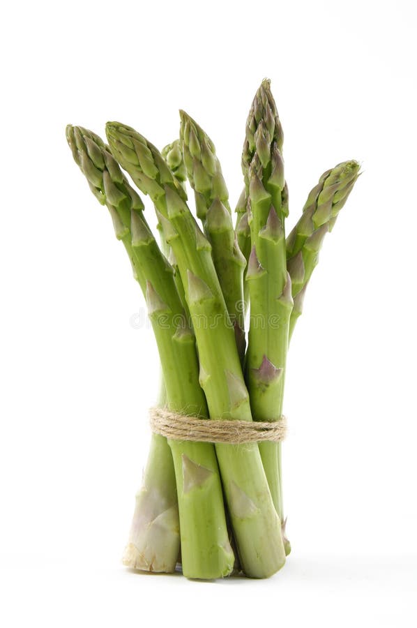 Asparagus stock image. Image of healthy, diet, gourmet - 3509955