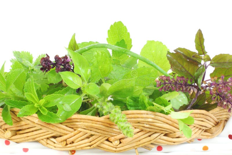 Fresh assorted herb stock image. Image of care, botanical - 36510569