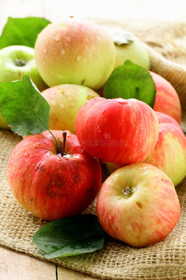 Autumn Apples stock image. Image of snack, woven, picked - 16230005