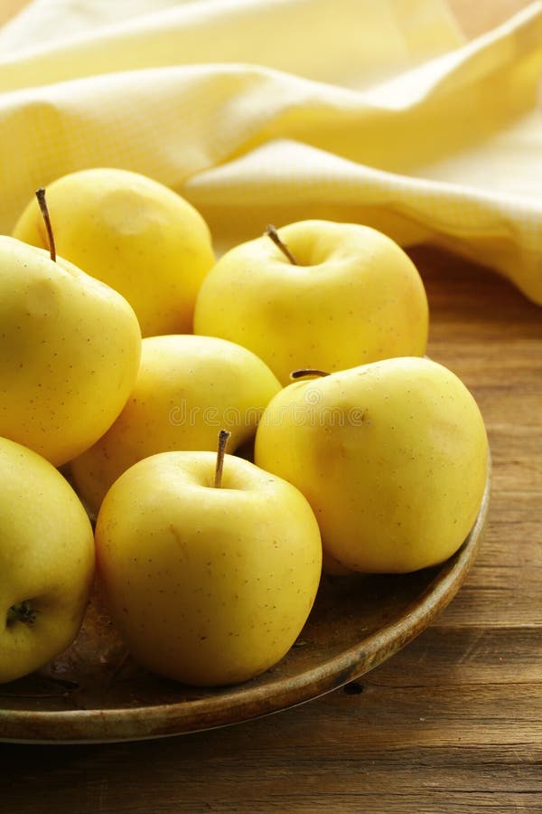 Fresh autumn yellow apples stock photo. Image of apple - 27688252