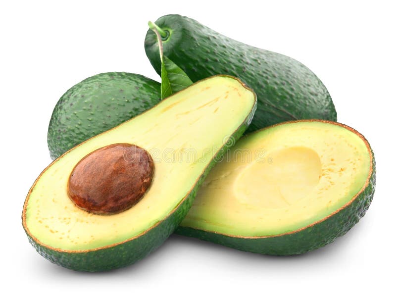 Fresh avocado stock image. Image of fruit, green, fresh - 21432047