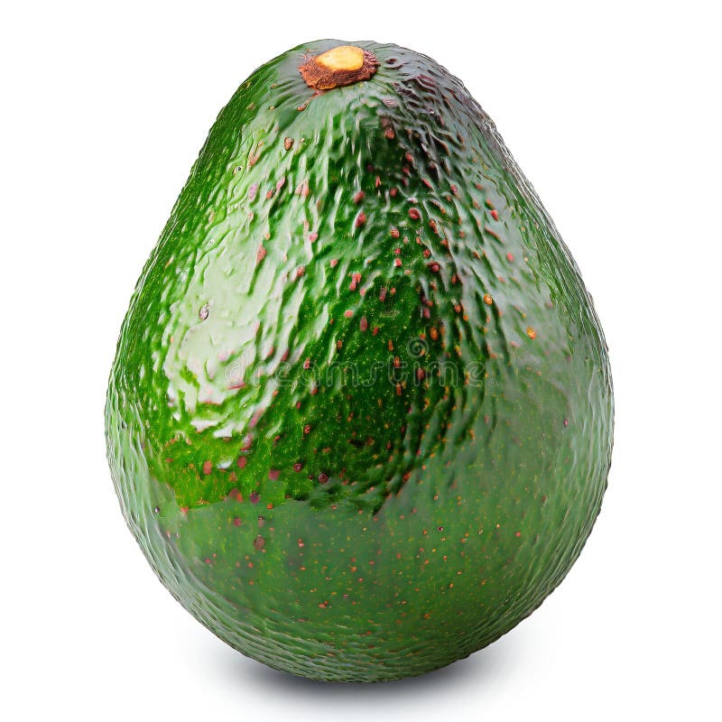 Fresh Avocado Isolated on White Background. Stock Illustration ...