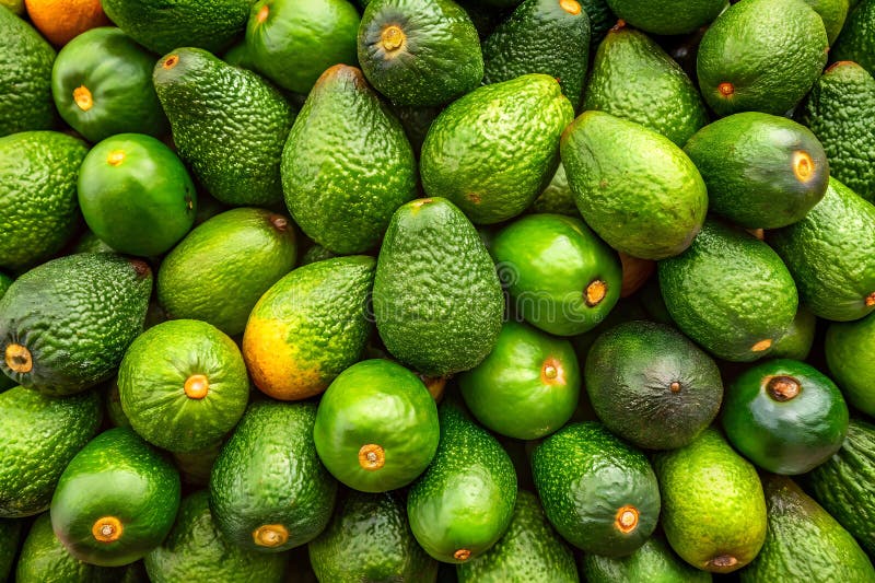 Fresh avocados background stock illustration. Illustration of fresh ...