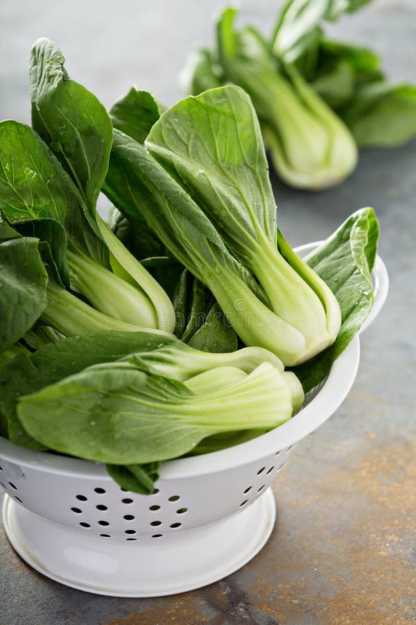 Fresh baby bok choy stock photo. Image of chinese, bokchoy - 91224856