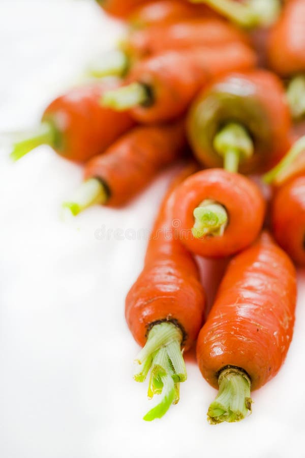 Fresh baby carrots stock photo. Image of healthy, nature - 48614728