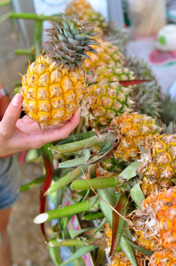 Pineapple in hand stock photo. Image of hipster, funky - 51865170