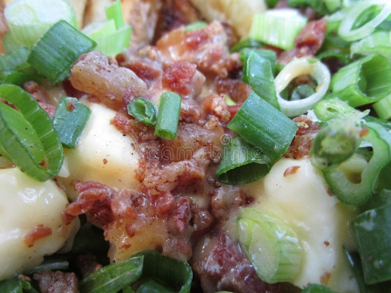 Fresh Bacon Bits, Cheese Curds and Green Onion on Poutine Stock Photo ...