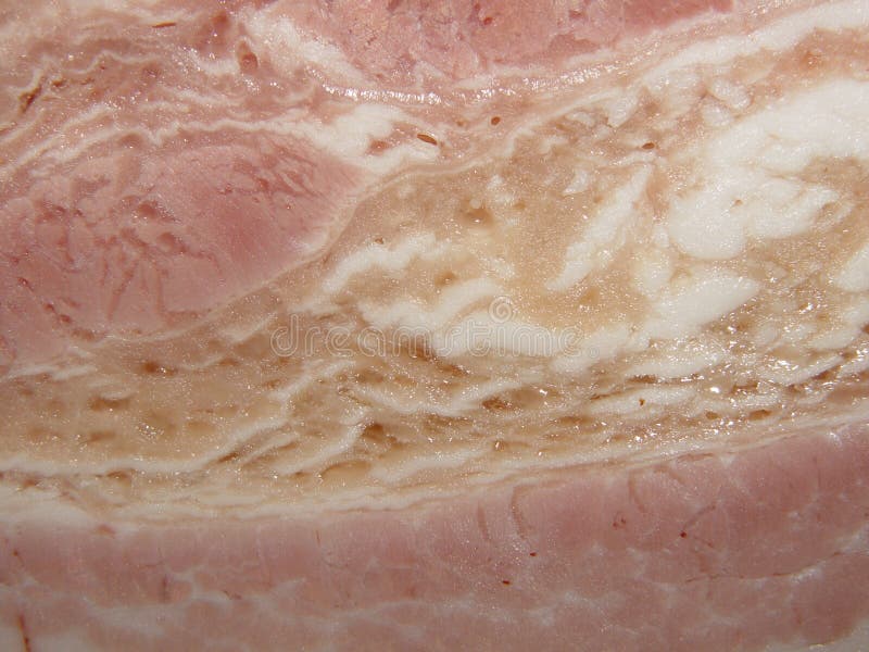 Fresh bacon stock photo. Image of closeup, food, sliced - 86972256