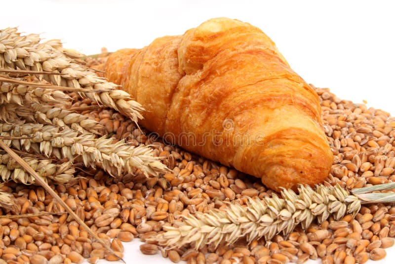 Fresh Baked Bakery Products Stock Image - Image of wheat, bake: 21279967