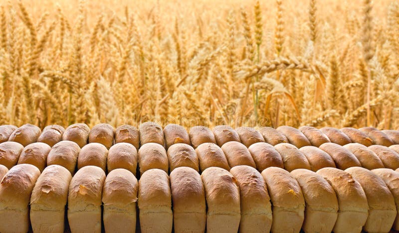 Fresh Baked Bread on Background Field Wheat Stock Photo - Image of ...