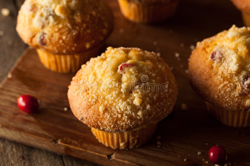 Fresh Baked Cranberry Muffins Stock Image - Image of pastry, fruit ...