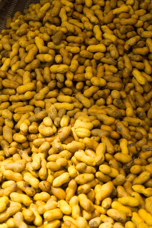 Fresh Baked Groundnut in a Stall Stock Image - Image of gourmet ...