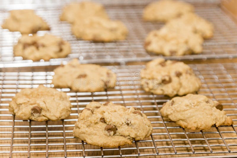 Fresh Baked Soft Chocolate Chip Cookies on a Cooling Rack Stock Image ...