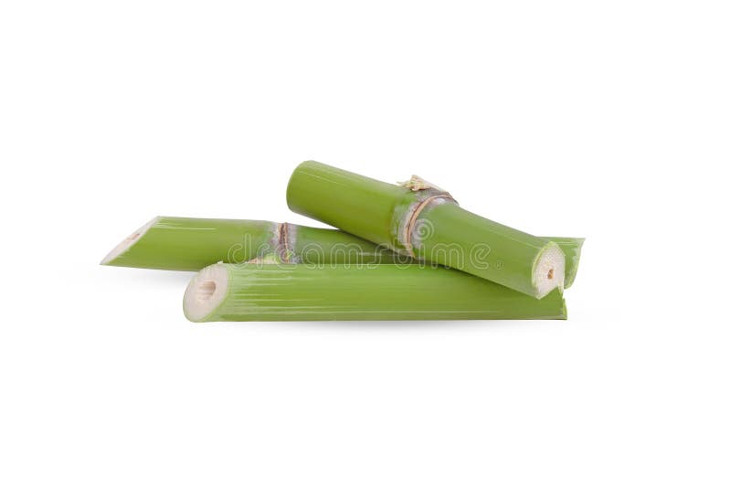 Group of Fresh Bamboo Sticks Stock Photo - Image of stick, oriental ...