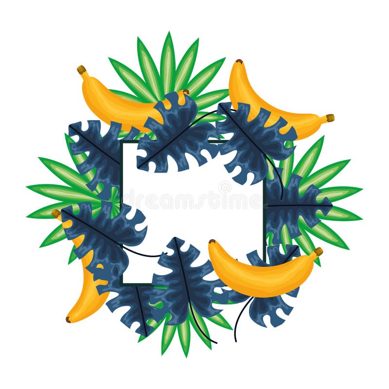Bananas Frame Illustration - Tropical Theme Stock Illustration ...