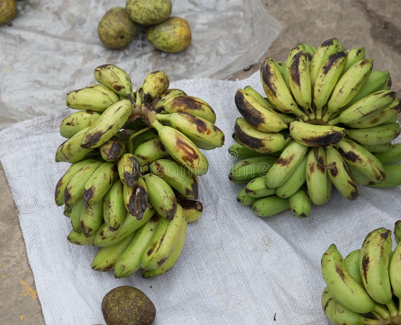 Fresh Bananas Market Iquitos Peru Stock Photo - Image of organic ...