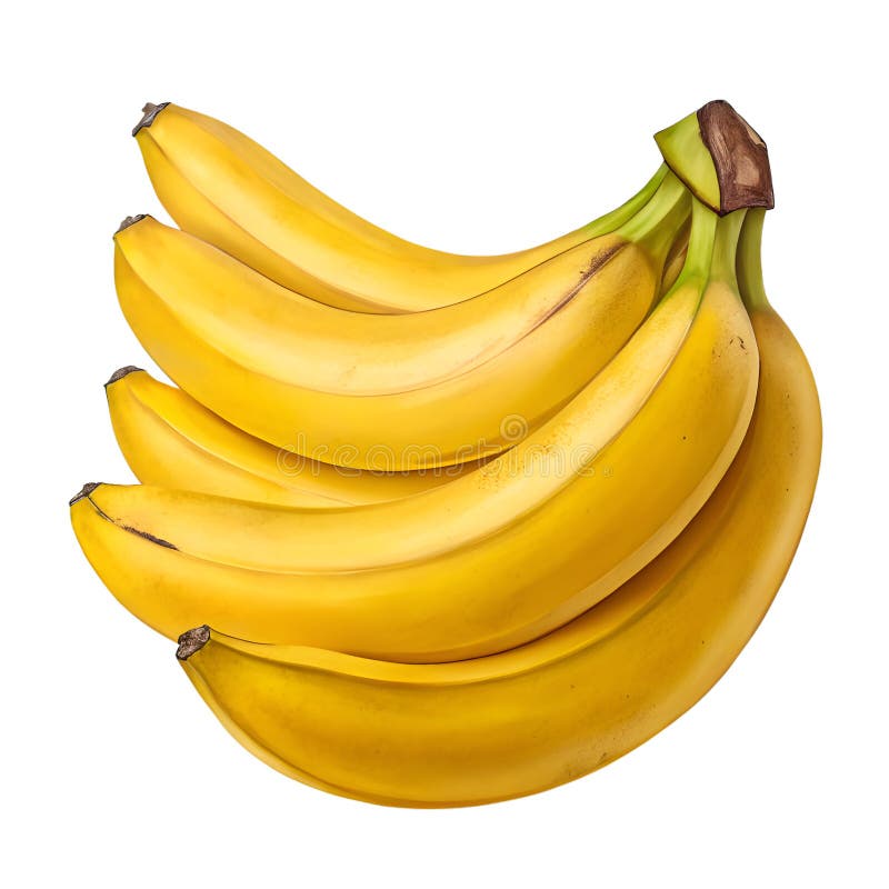 Fresh Bananas Stacked on Transparent Background Stock Illustration ...
