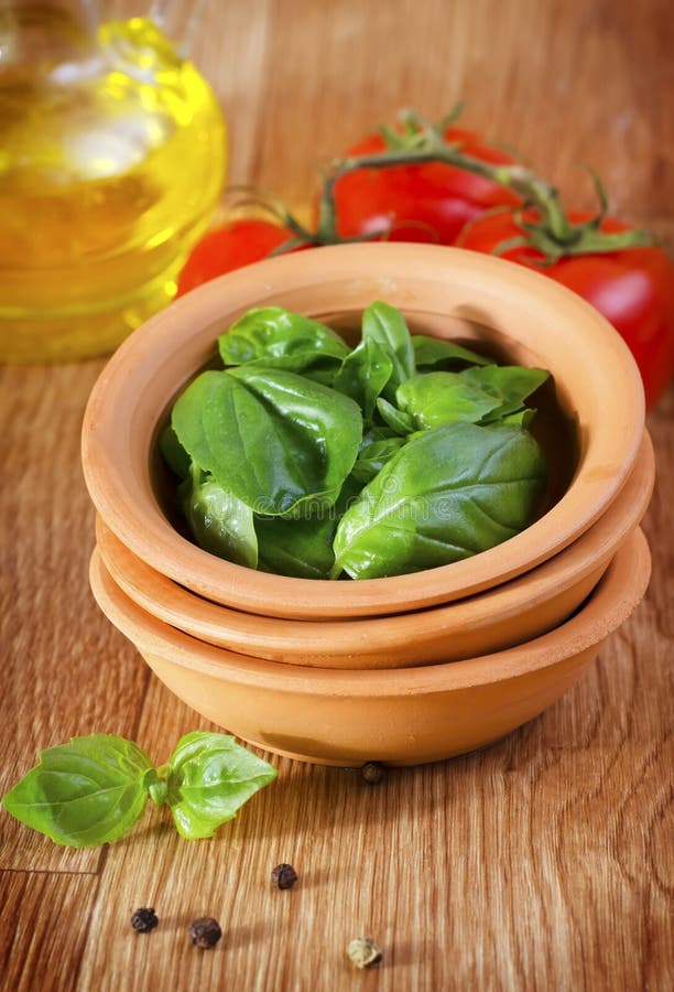 Fresh basil stock image. Image of close, color, green - 23782033