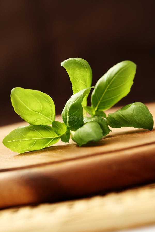 Fresh basil stock image. Image of taste, ingredient, herb - 8186625