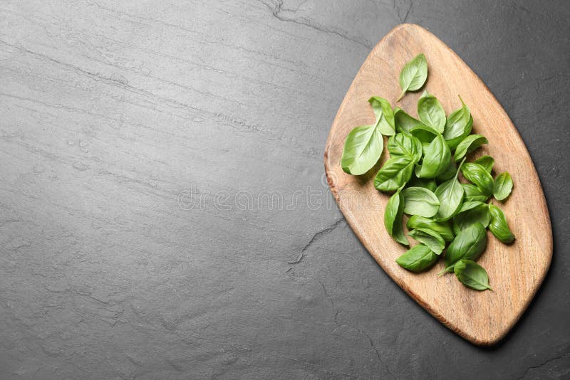 Fresh Basil on Grey Table. Space for Text Stock Image - Image of leaf ...