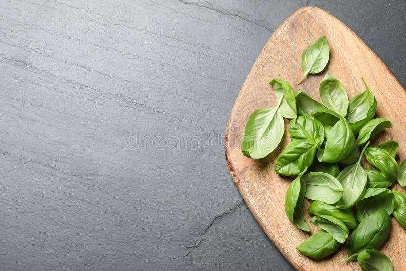 Fresh Basil on Grey Table. Space for Text Stock Photo - Image of green ...