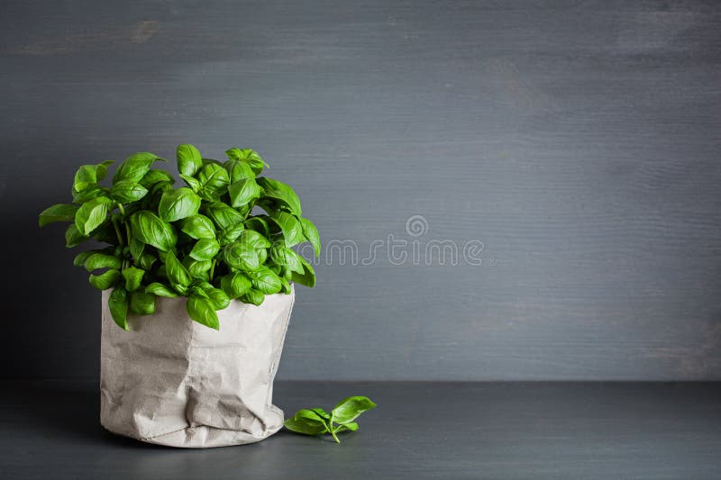 Wpaper Pot Stock Photos - Free & Royalty-Free Stock Photos from Dreamstime